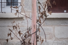 »Wasseralfinger Fotoskizzen« – Jan Lederbogen